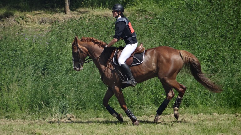 Ecole d’équitation classique, artistique et d’extérieur – Cheval de Cœur